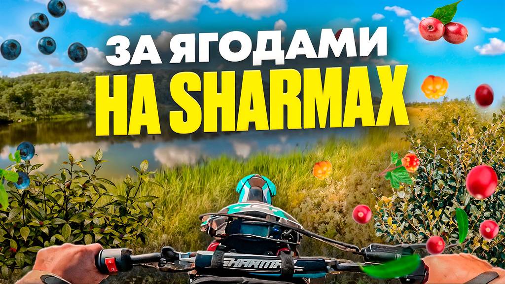 за ягодами на мотоцикле Sharmax 190