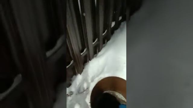 Замена гидроаккумулятора скважины, Радиоцентр