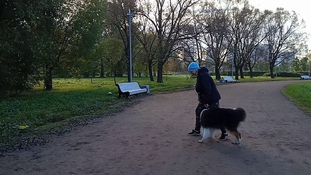 Макс, тренинг, 2024-10-07 - 2