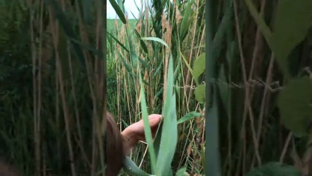 Поход в Морскую 04-07-21