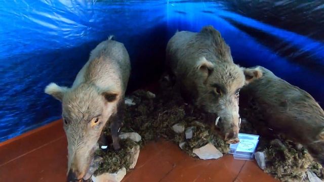 На пикапе в Казахстан #9 - Добро пожаловать на Урунхайку