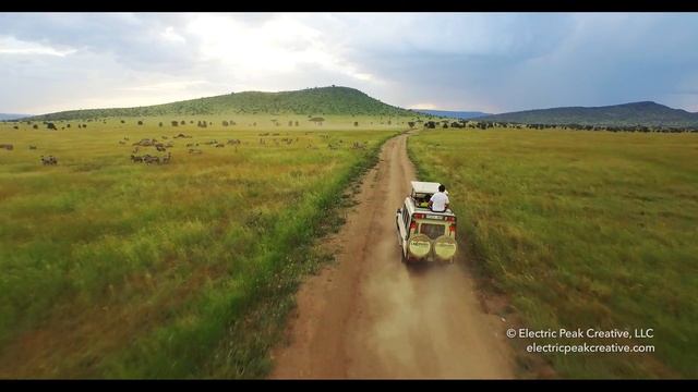 Всемирное наследие Юнеско.Национальный парк Серенгети,Танзания.