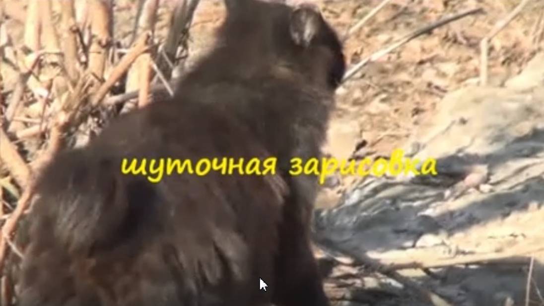 Первые дни жизни в молодежном центре Наследникъ. Часть 3