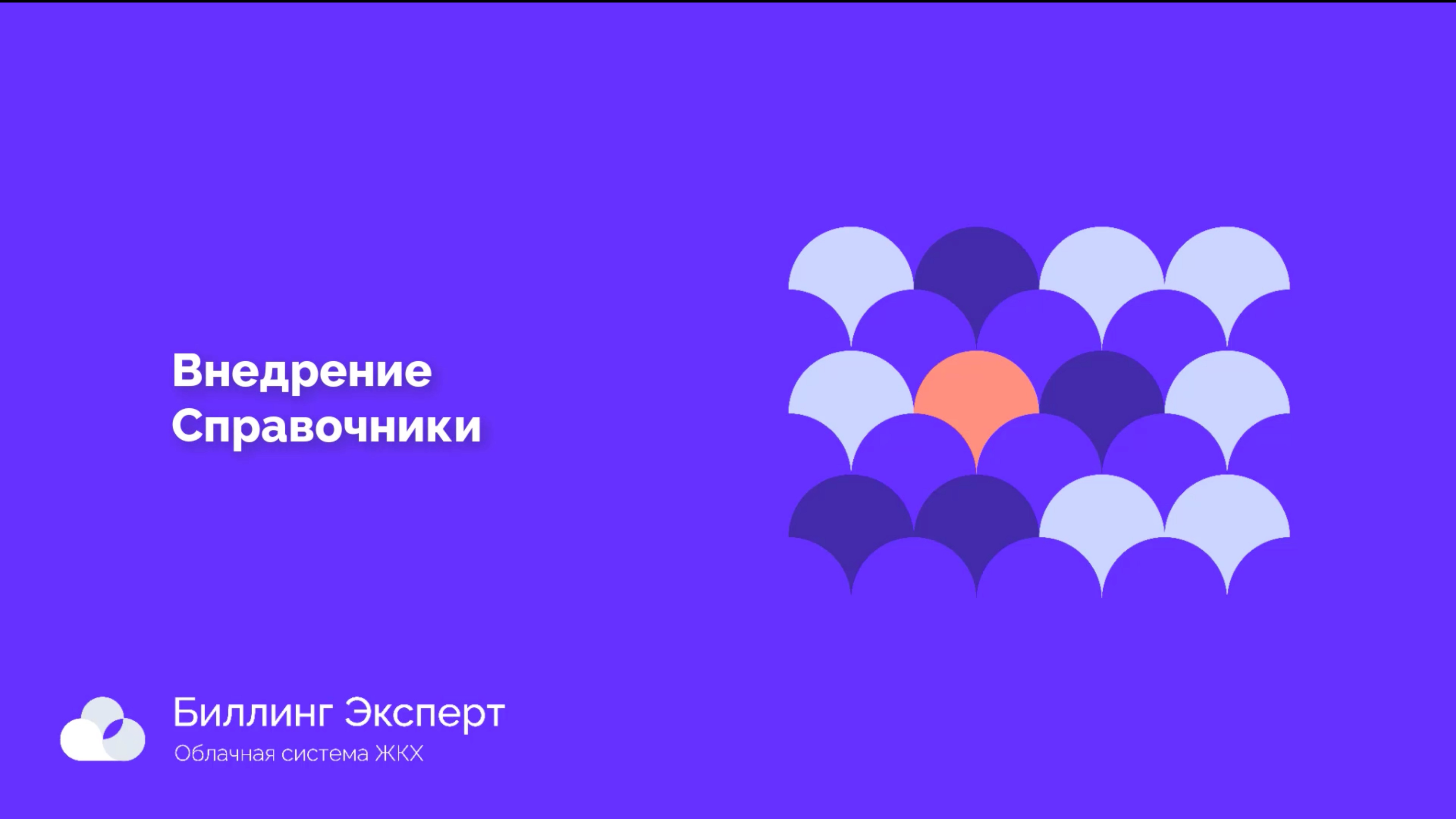 Внедрение и справочники в Биллинг Эксперт