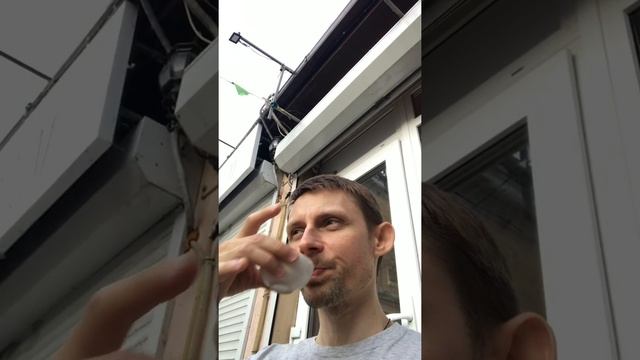 Вылазка в Горький Мао (16-06-2022)