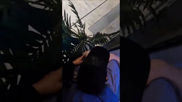 УСПЕЙ ДО 10 СЕНТЯБРЯ! 30 БЕСПЛАТНЫХ активностей в Лужниках | Куда сходить в Москве?