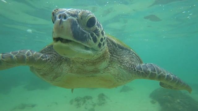 Лучший пляж без волн для детей | Унаватуна | The best beach for kids Unawatuna| Шри-Ланка   #7