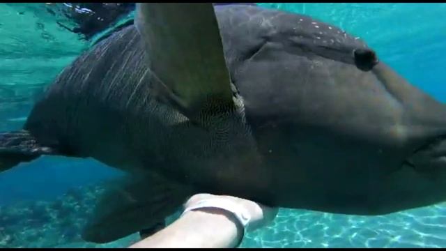 Красное Море весной 2023