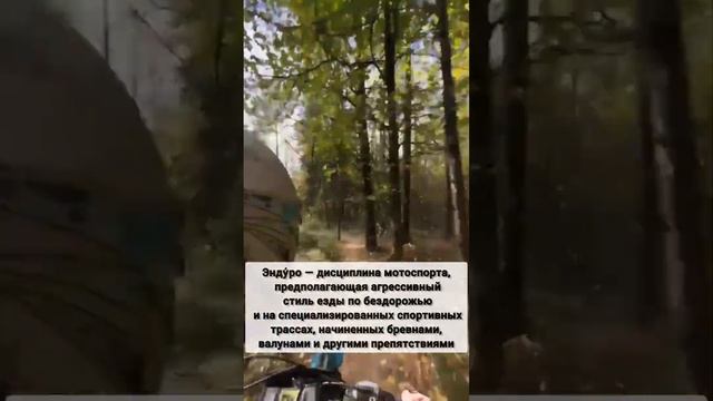 Где покататься на ЭНДУРО и ПИТБАЙКЕ в Москве недорого | Самое большое пространство