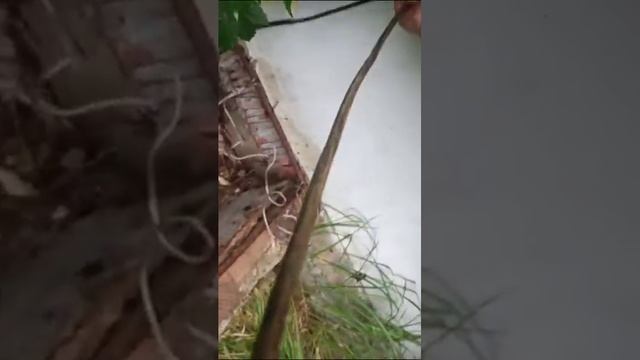 Видеодиагностика скважины, Сорокино, Московская область