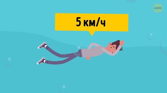 Кто быстрее всех в мире