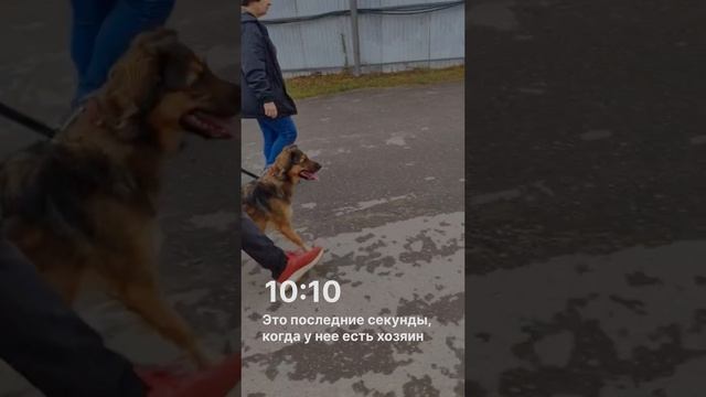 Предательство