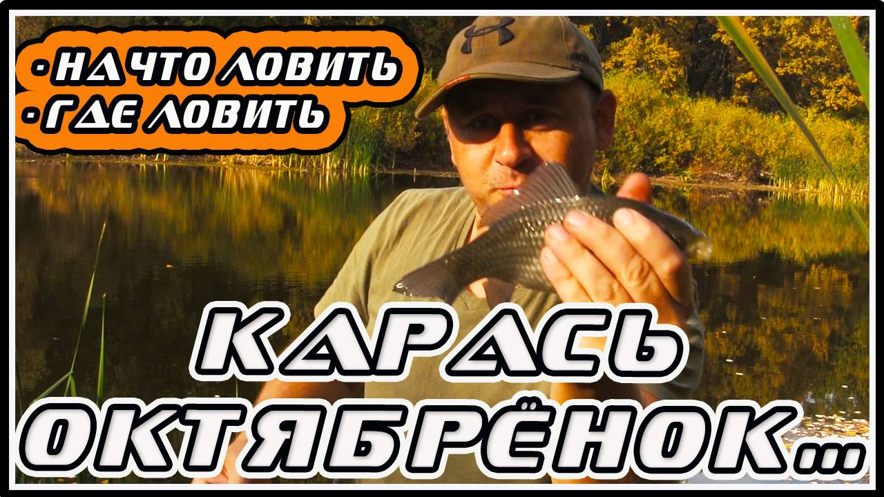 Рыбалка на карася осенью, на что ловить, как ловить рыбу поздней осенью.