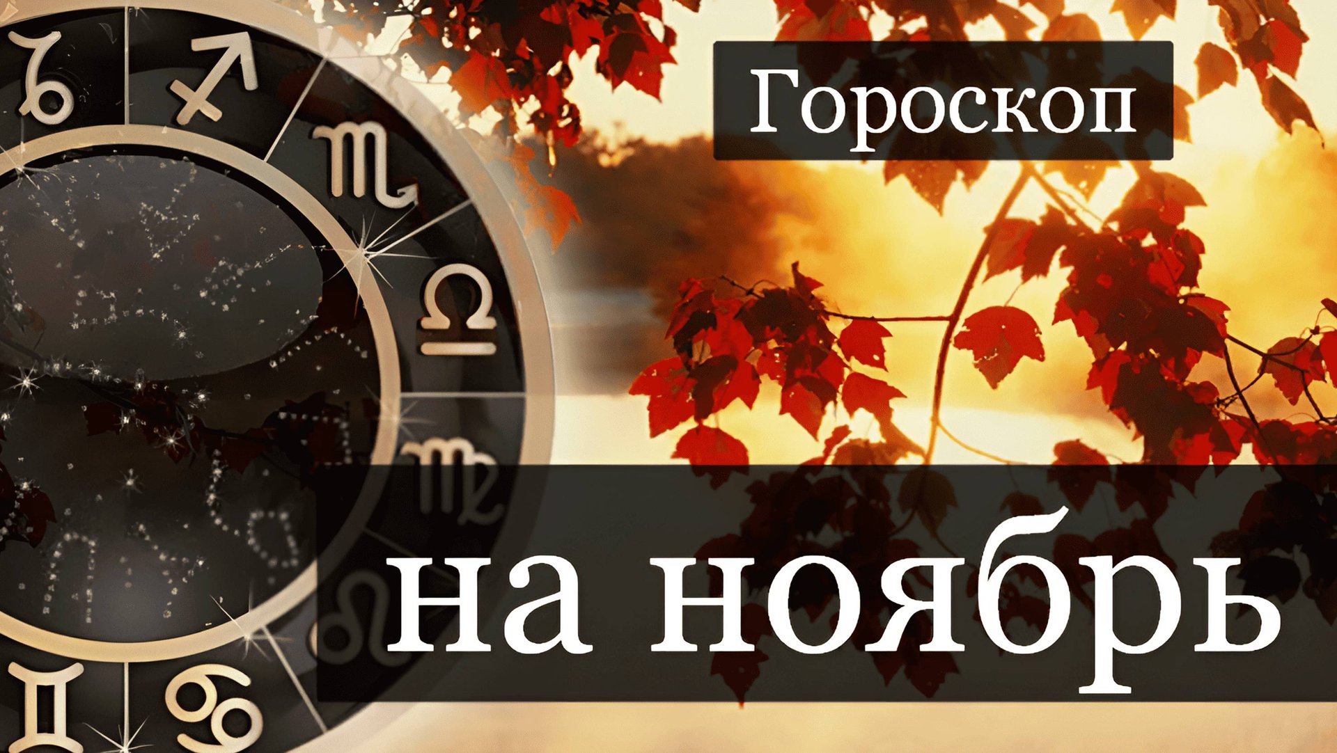 Тельцы на ноябрь 2024