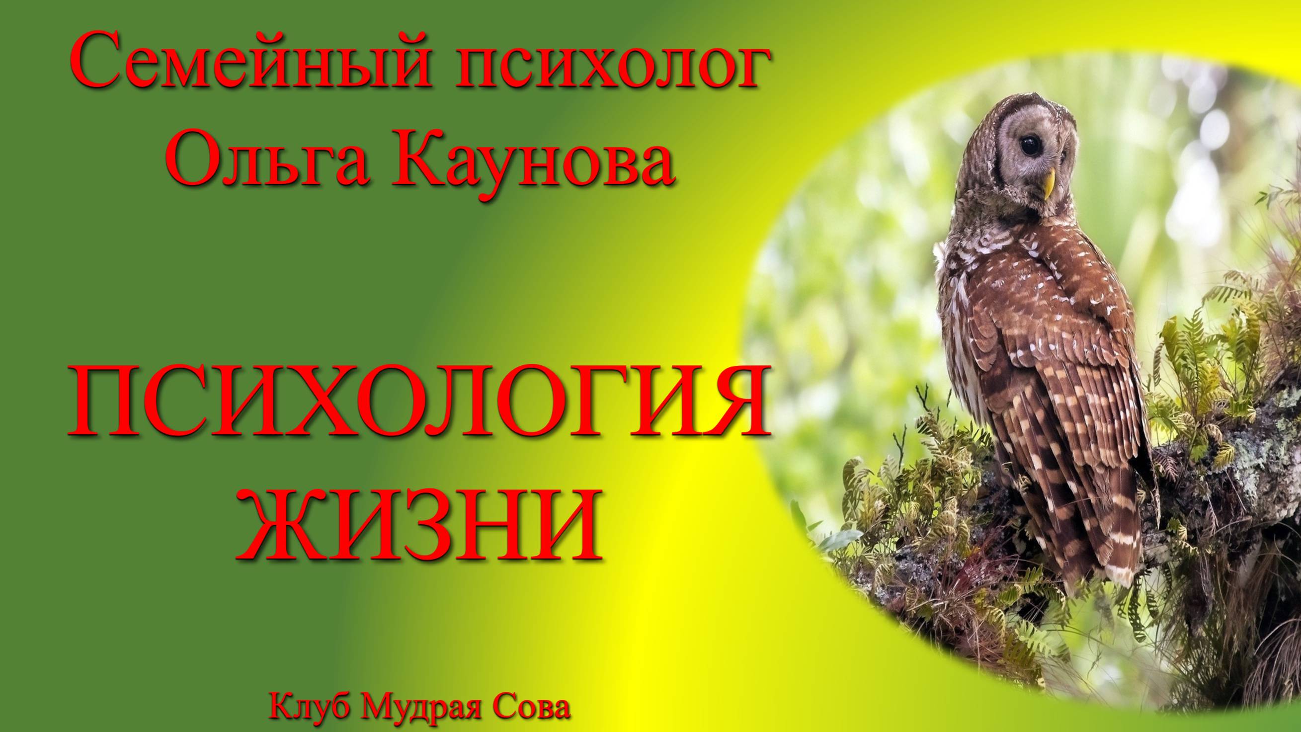 Вводное занятие курса "Ментальный Ангельский метод". О. Каунова. 17.09.2024