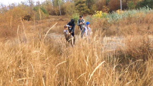 Пиратский Клад (24-10-20)