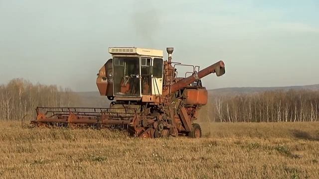 Съездил к соседям на уборку пшеницы. Архивное видео Уборочной 2018 года.