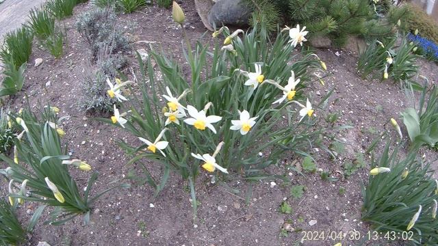 Вышний Волочек. Часть 4. Казанский Вышневолоцкий женский монастырь.