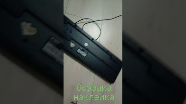 6 собака наклейка на клавиатуру