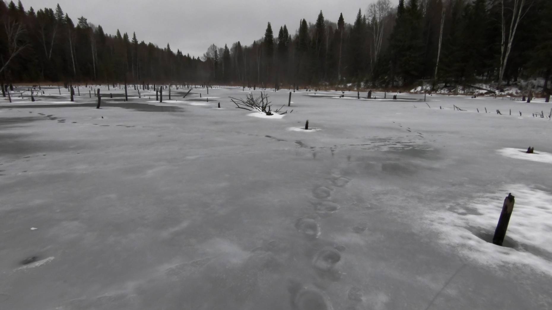 Первый лёд. Рыбалка на лесном пруду.
