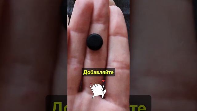 3 ПРАВИЛА ПО УХОДУ ЗА ТЮЛЬПАНАМИ | как продлить жизнь тюльпанам