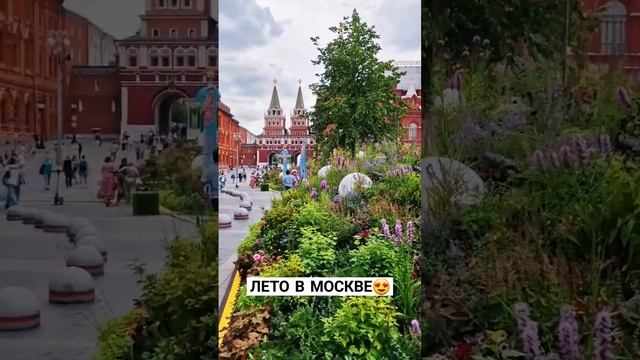 ГДЕ ПОГУЛЯТЬ В МОСКВЕ?