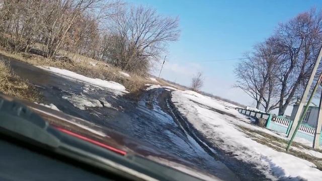 Купили 10.000 пакетов для рассады! Лайфхак как избавиться от муравьёв.