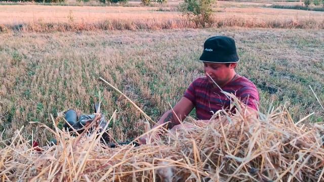 СОБИРАЕМ СОЛОМУ, ЗАЛЕТЕЛИ В ПОСАДКУ!!!