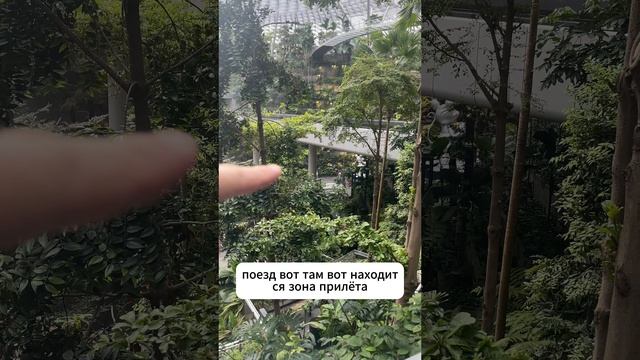 Аэропорт БУДУЩЕГО - ВОДОПАД напротив зоны прилета в Сингапуре #аэропорт #сингапур