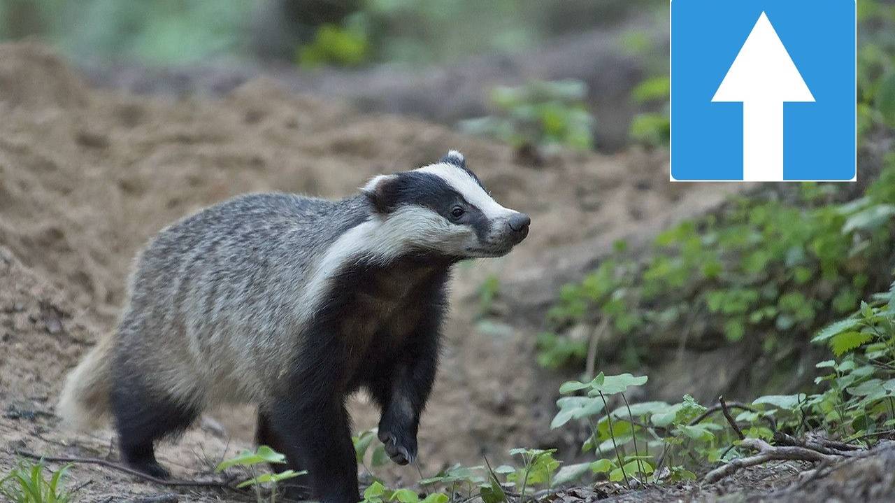 Одностороннее движение