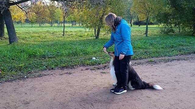 Макс, тренинг, 2024-10-07 - 1