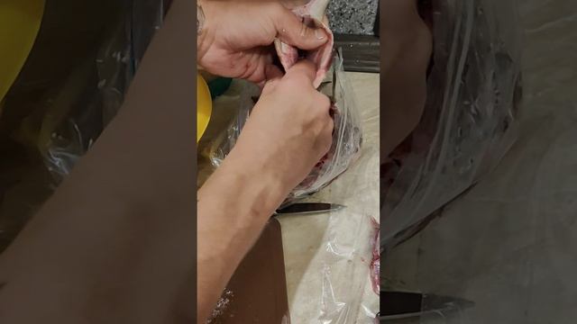 Способ чистки рыбы.