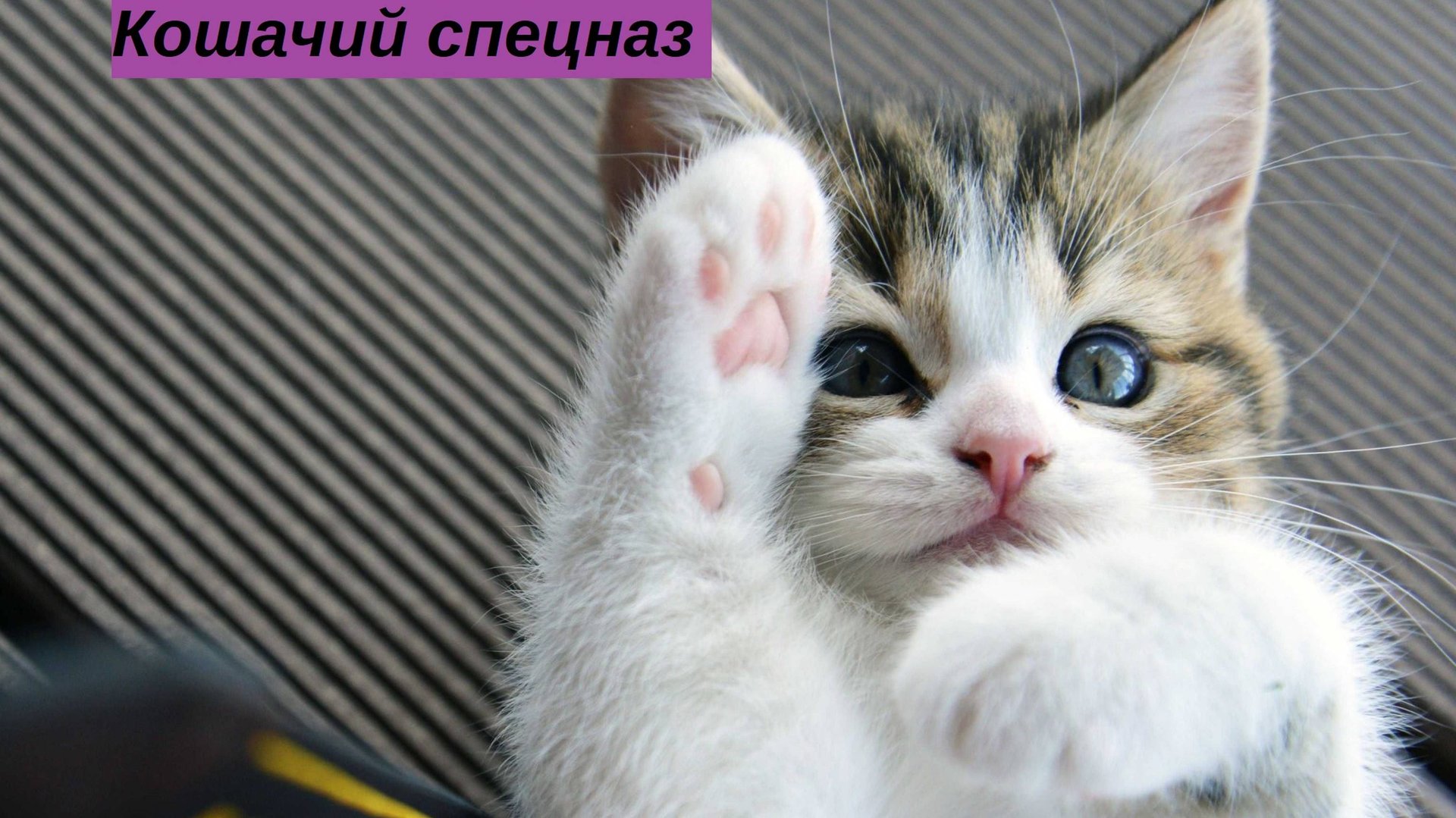 ✅ Хорошего дня Вам❤️