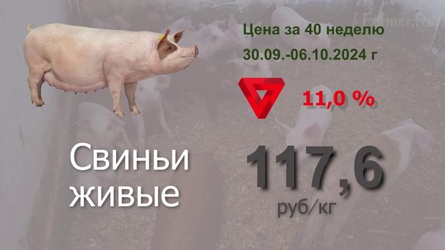 Что сейчас происходит на рынке мясной продукции? Цены за 40 неделю #мясо #аналитика #АПК