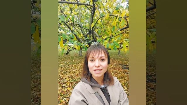 #ОсеннееНастроение