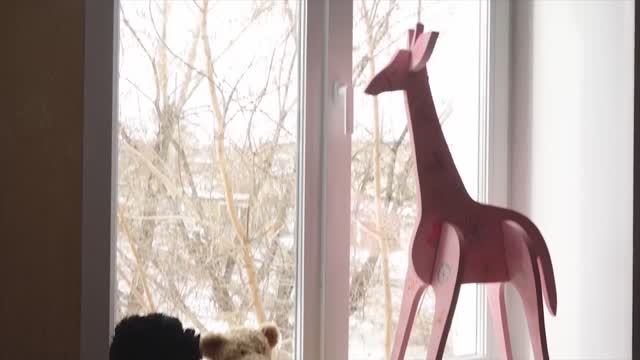 Видео о Махаон. Окна_06.2022