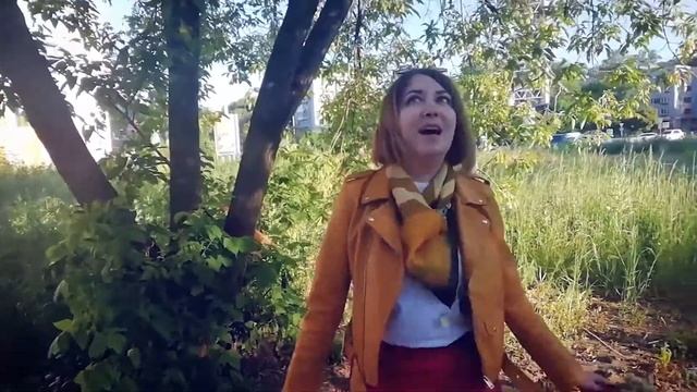 С днём рождения, Бабуля