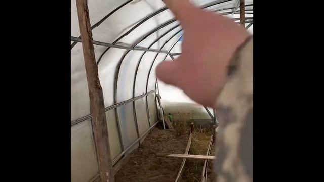 Февральские посадки