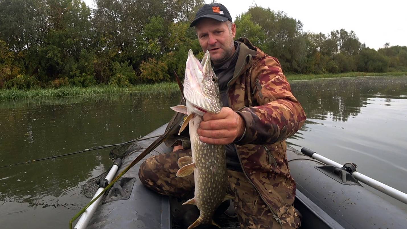 Эти приманки ловят. Рыбалка на Оке в начале октября