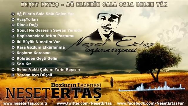 Neşet Ertaş - Seher Vakti Çaldım Yarin Kapısın