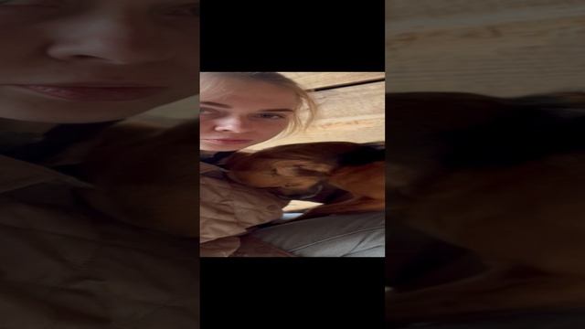 Ему срочно нужен дом 🆘