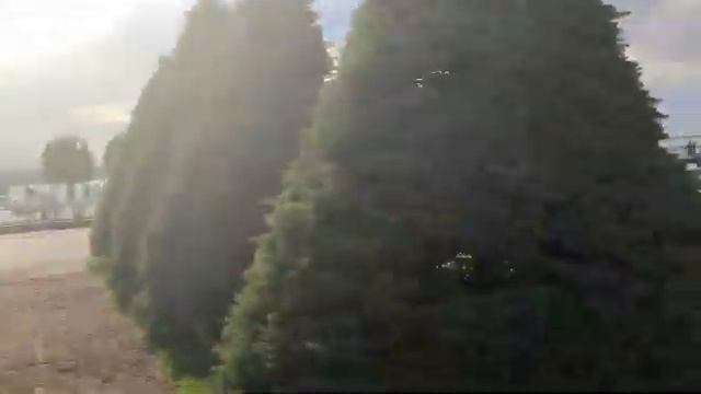 Петергоф. Петергофская пристань: видеообзор. Для тех кто планирует или не смог посетить