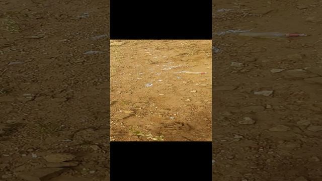 Осень на Кии