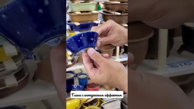 Глина с интересным эффектом #shorts #bonsai #garden #plant #керамика #кусамоно