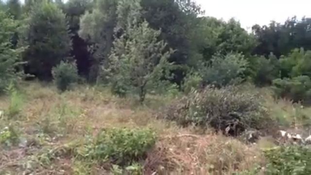 Участок в Тикеево