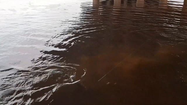 Лещ! ОФИГЕТЬ!