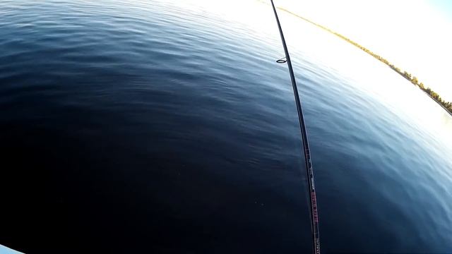 Рыбалка в Волгоградской области.  НаВоде июль 2016