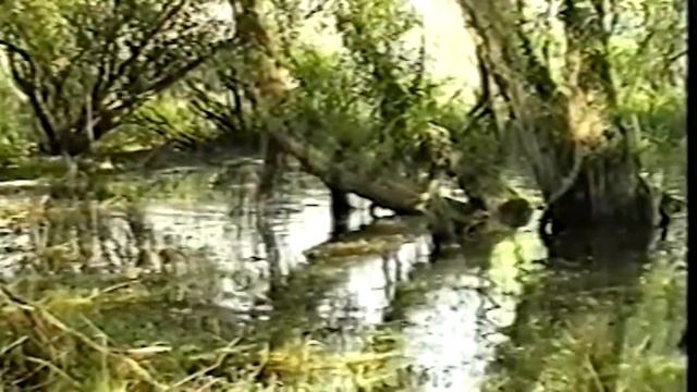 20 лет со дня крушения теплохода "Память Меркурия"... 26.01.2021.