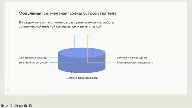 Встреча в Телемосте 13.09.24 18-17-29 — запись (1)