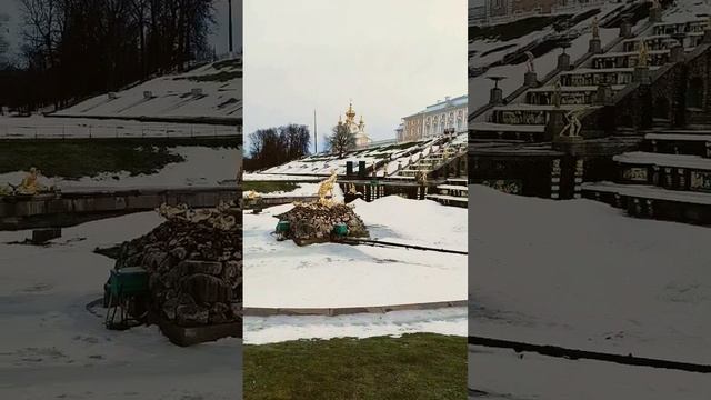 Петергоф. #shorts, #мояроссия